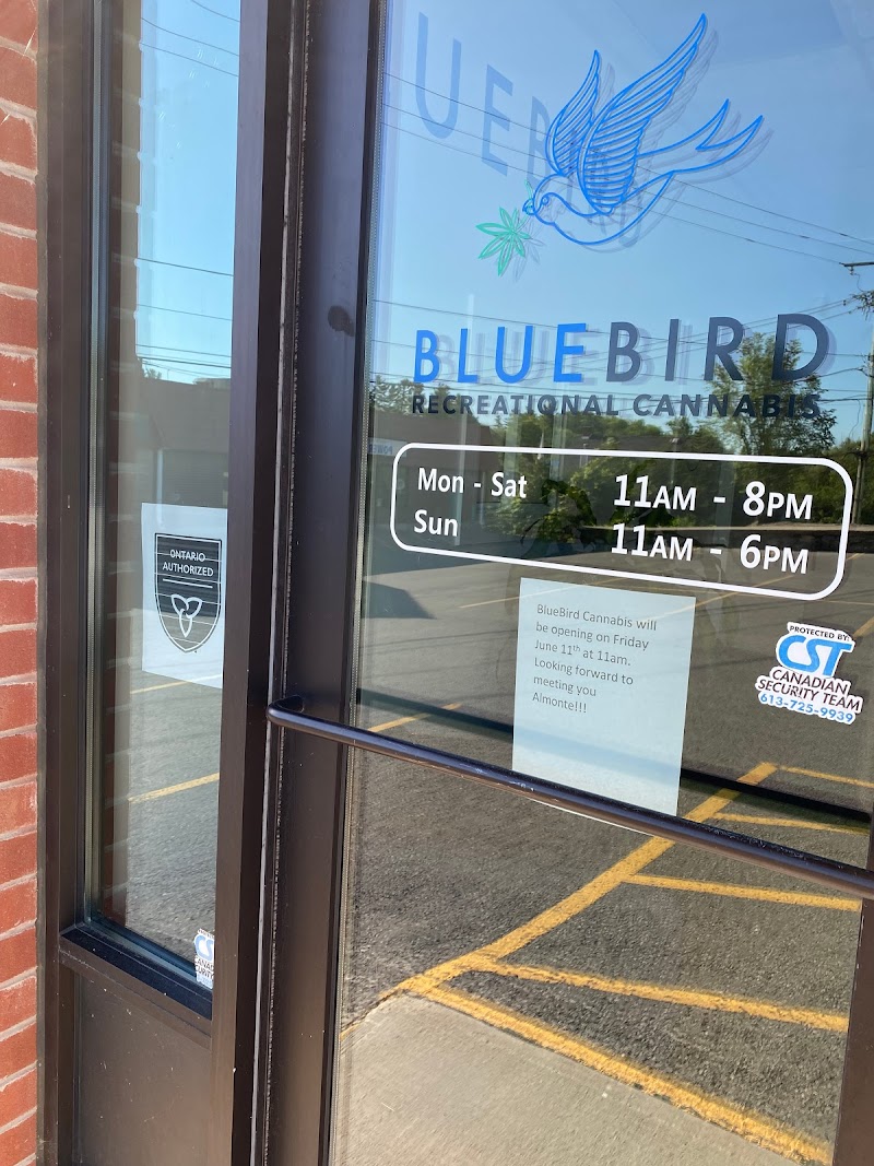 Ottawa Dispensary Directory 2026 — Best Cannabis Stores, Menus & Deals ...