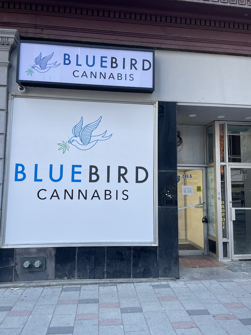 Ottawa Dispensary Directory 2026 — Best Cannabis Stores, Menus & Deals ...